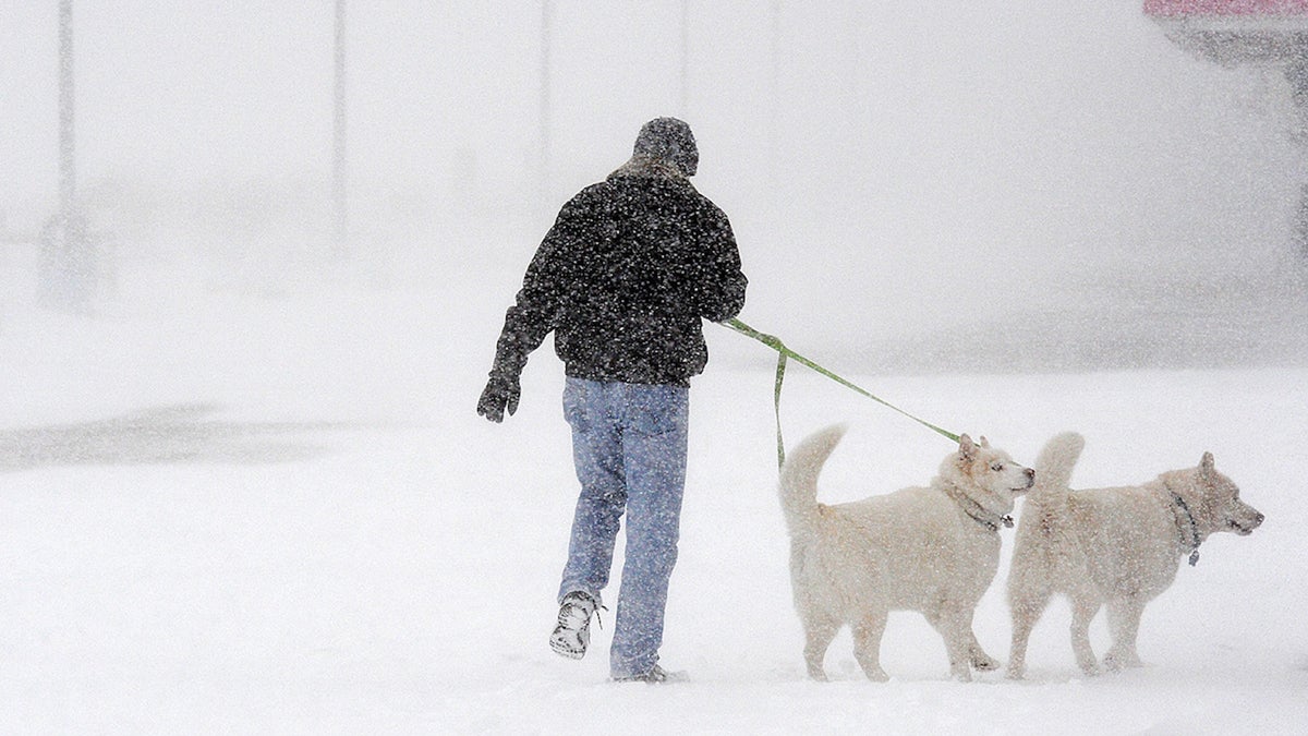 Snowfall in Delaware heavier towards the coast [photos] - WHYY