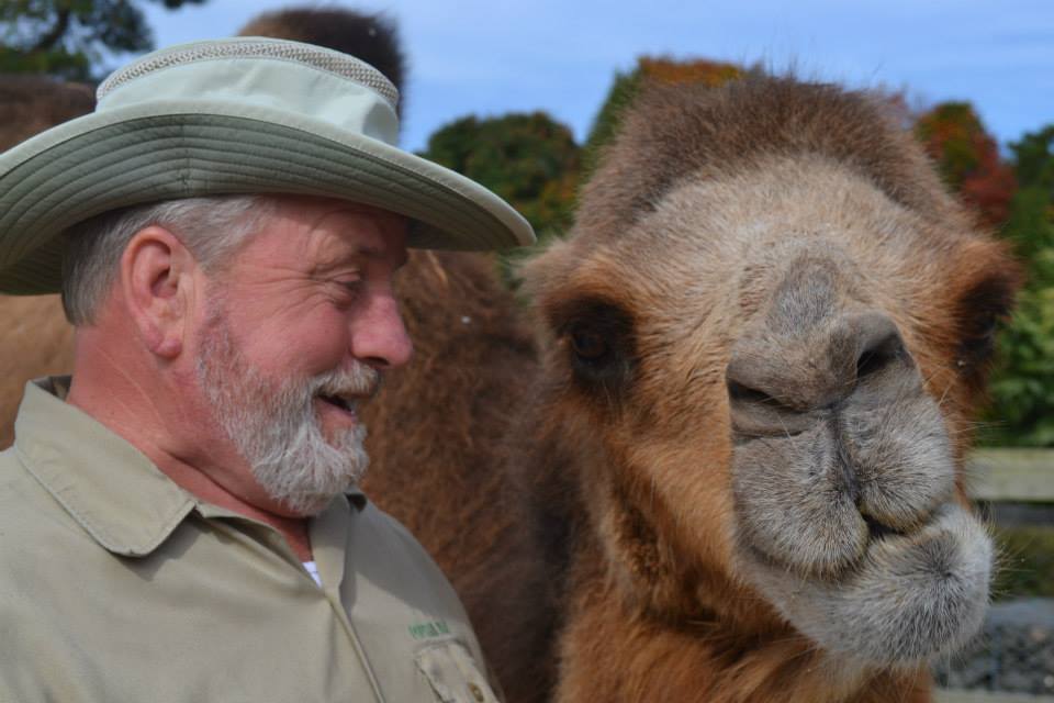 Popcorn Park Zoo's 'prognosticator extraordinaire' camel dies - WHYY