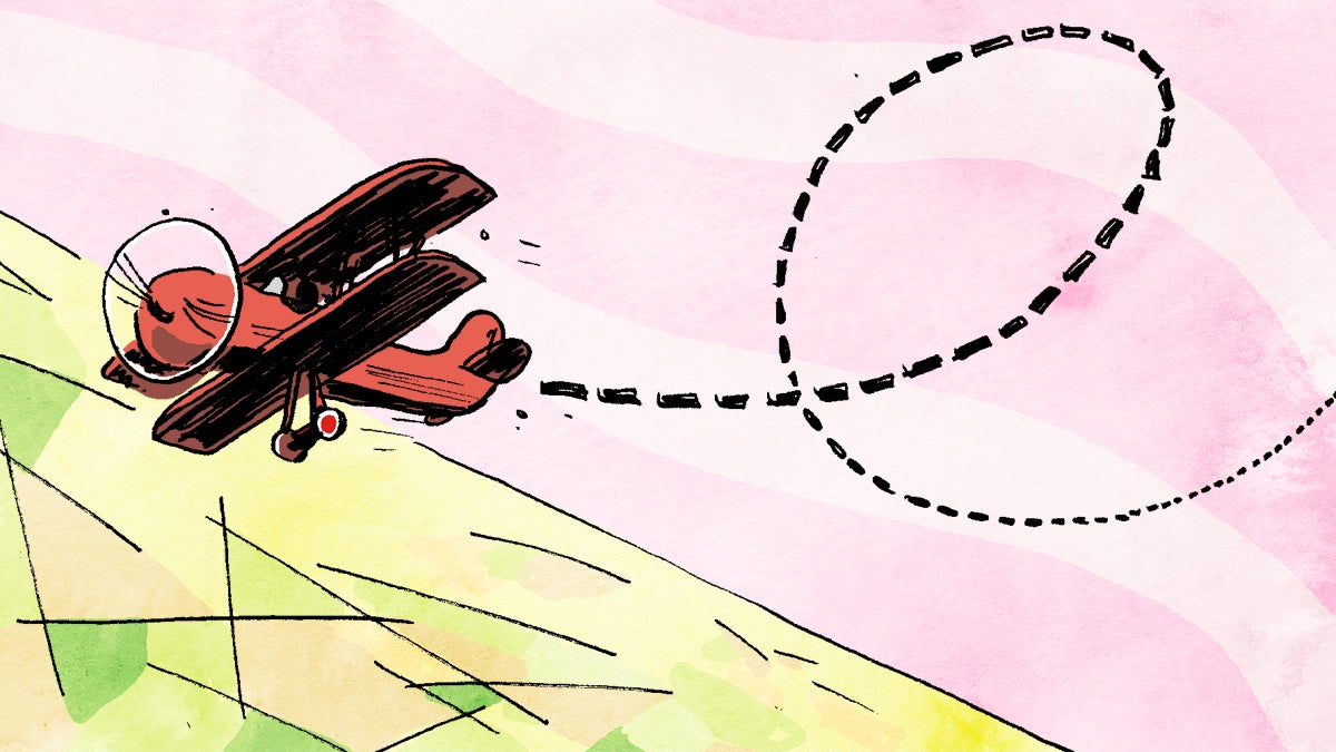 Webcomic: A different kind of shore bird - WHYY