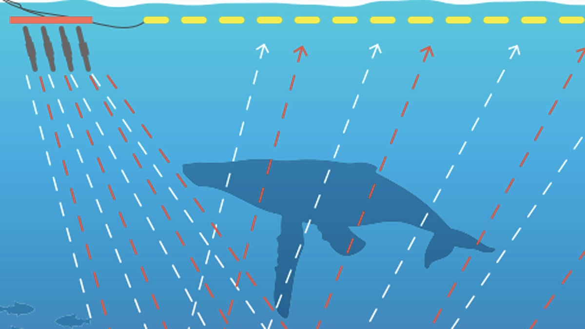 Judge to hear request to halt ocean blasting research plan - WHYY