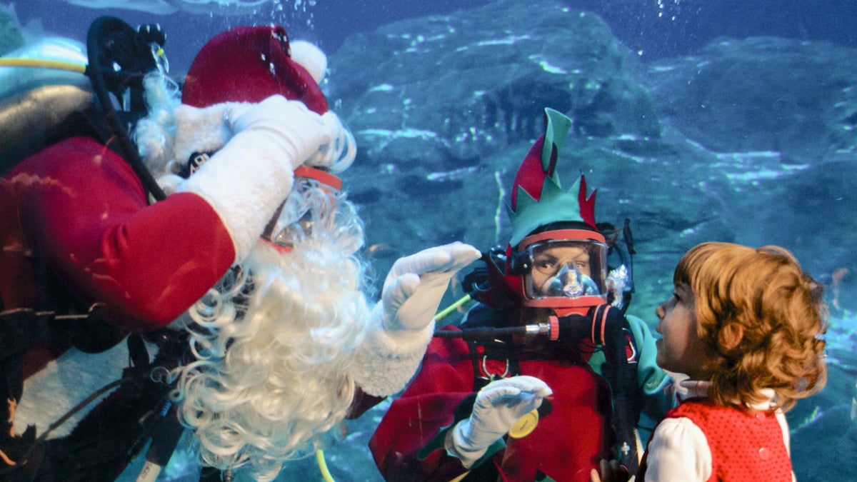 Scuba Santa returns to Camden’s Adventure Aquarium - WHYY