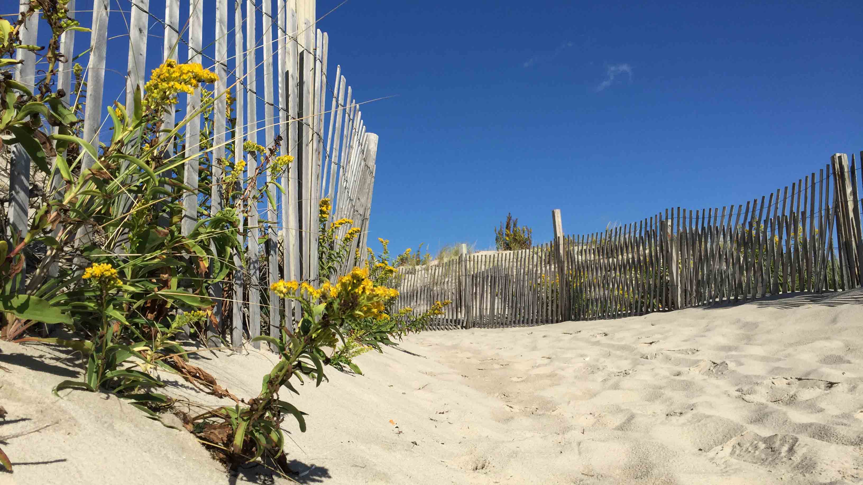 A taste of late summer is on tap for at least a few days beginning ...
