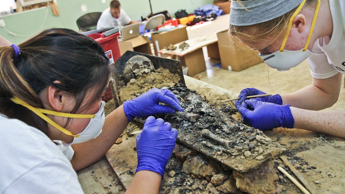 Digging for clues from the past in historic remains - WHYY