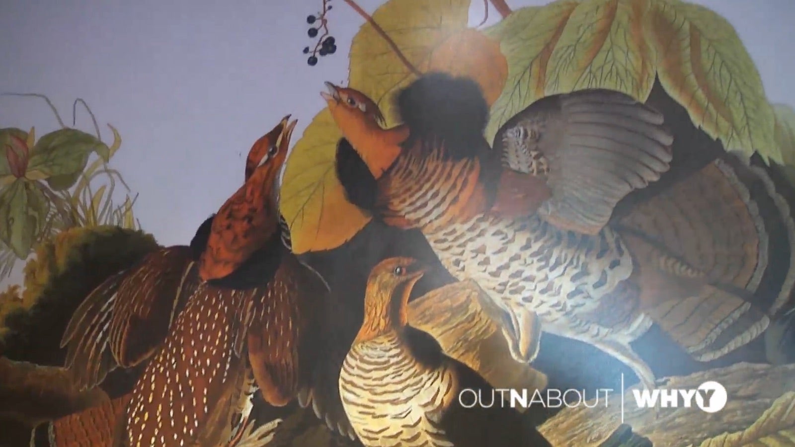 John James Audubon Center at Mill Grove - WHYY