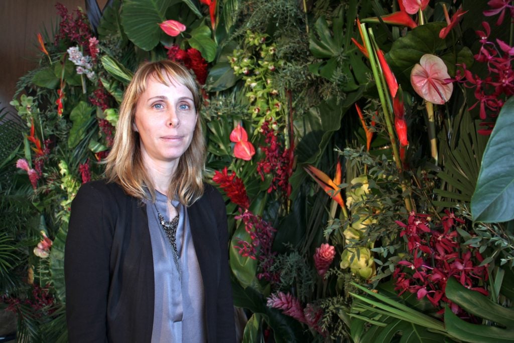 Rope bridge to add adventure to Philadelphia Flower Show - WHYY