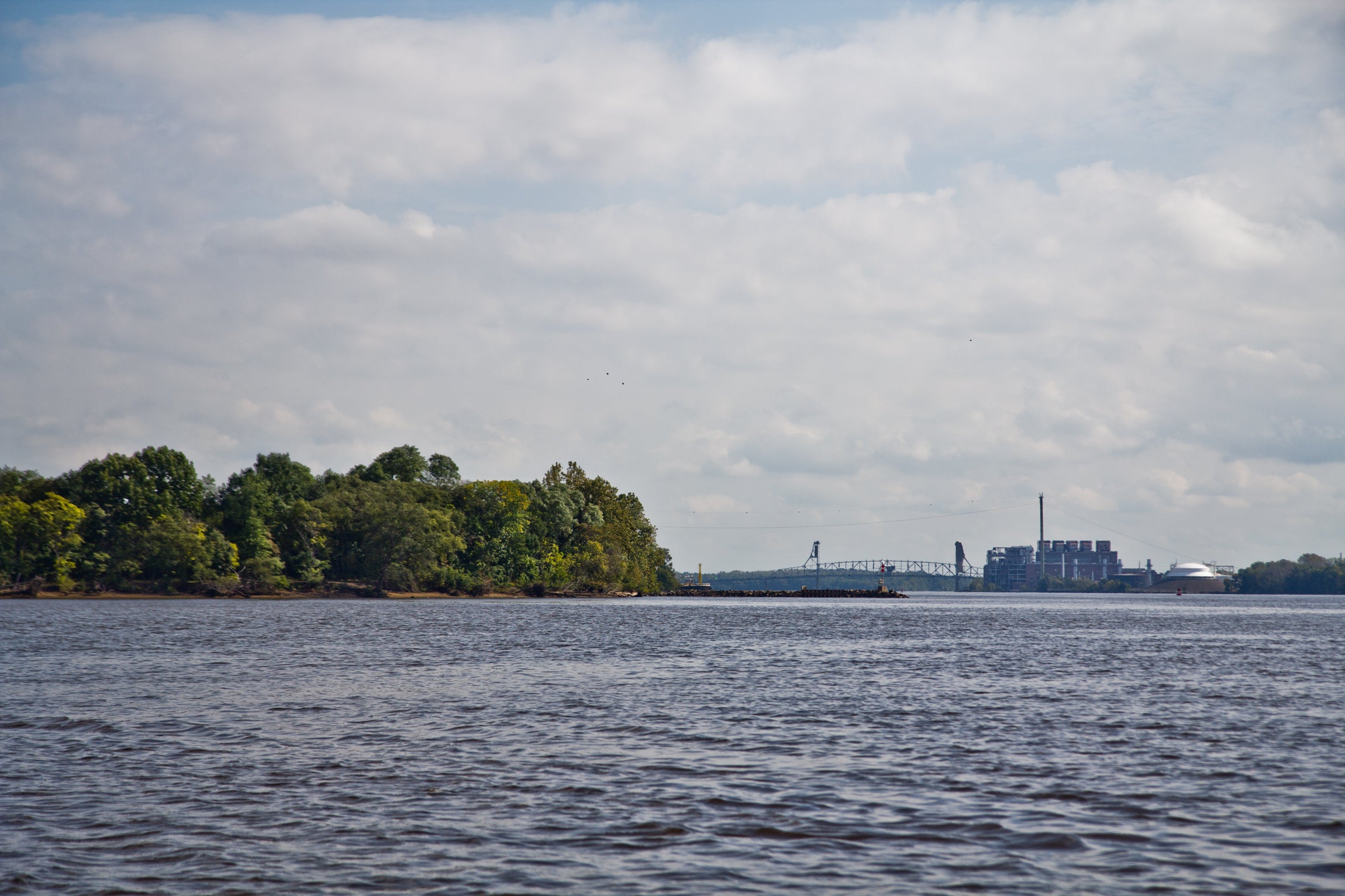 Delaware River’s ‘dead zones’ improved, but work remains - WHYY