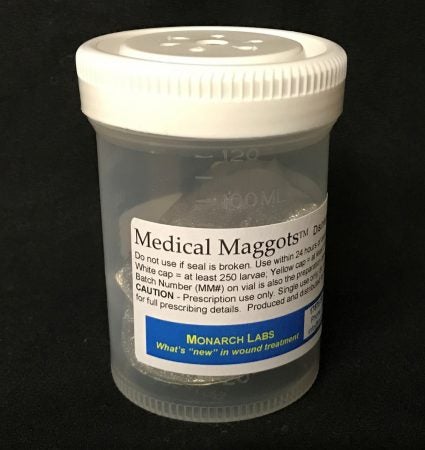 Doctors remove maggots from wounds, but could they help patients heal?