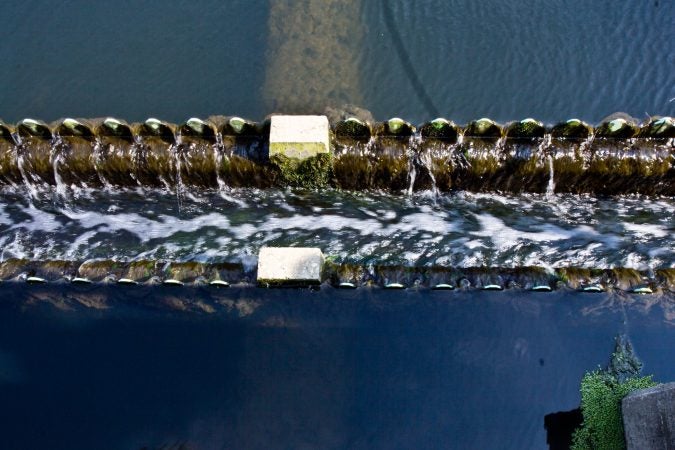 How the Clean Water Act fixed the Delaware River’s pollution problem - WHYY