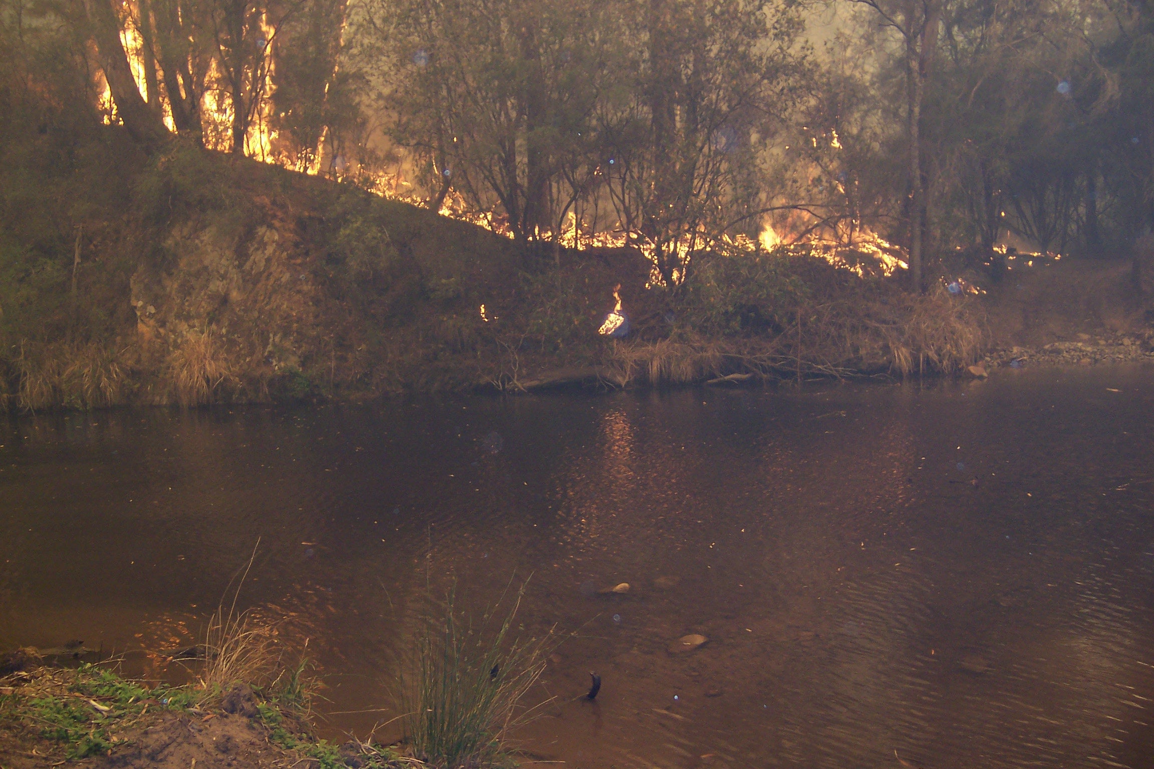 As bushfire approached, this Australian rancher fought fire with fire ...