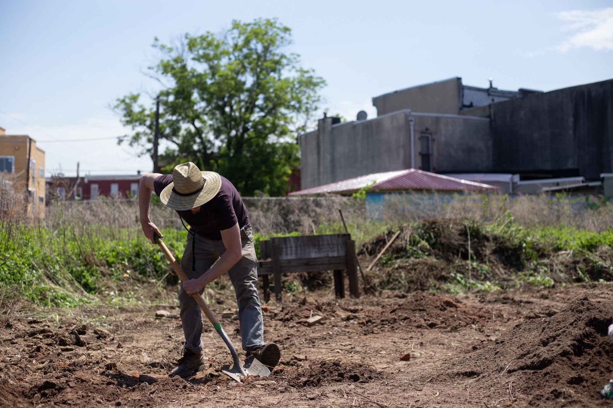 Urban agriculture planning process begins in Philly - WHYY