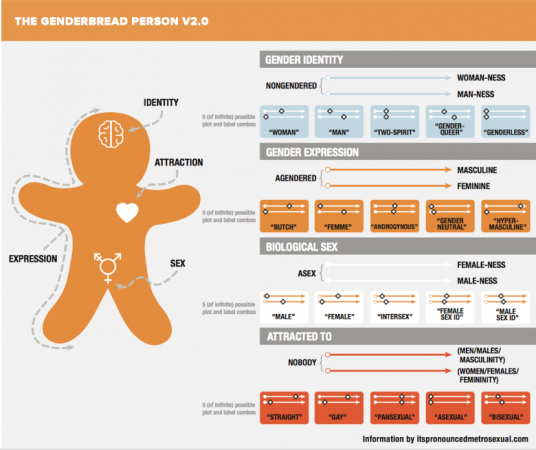 Looking at gender’s many sides, with kids’ inclusion in mind - WHYY