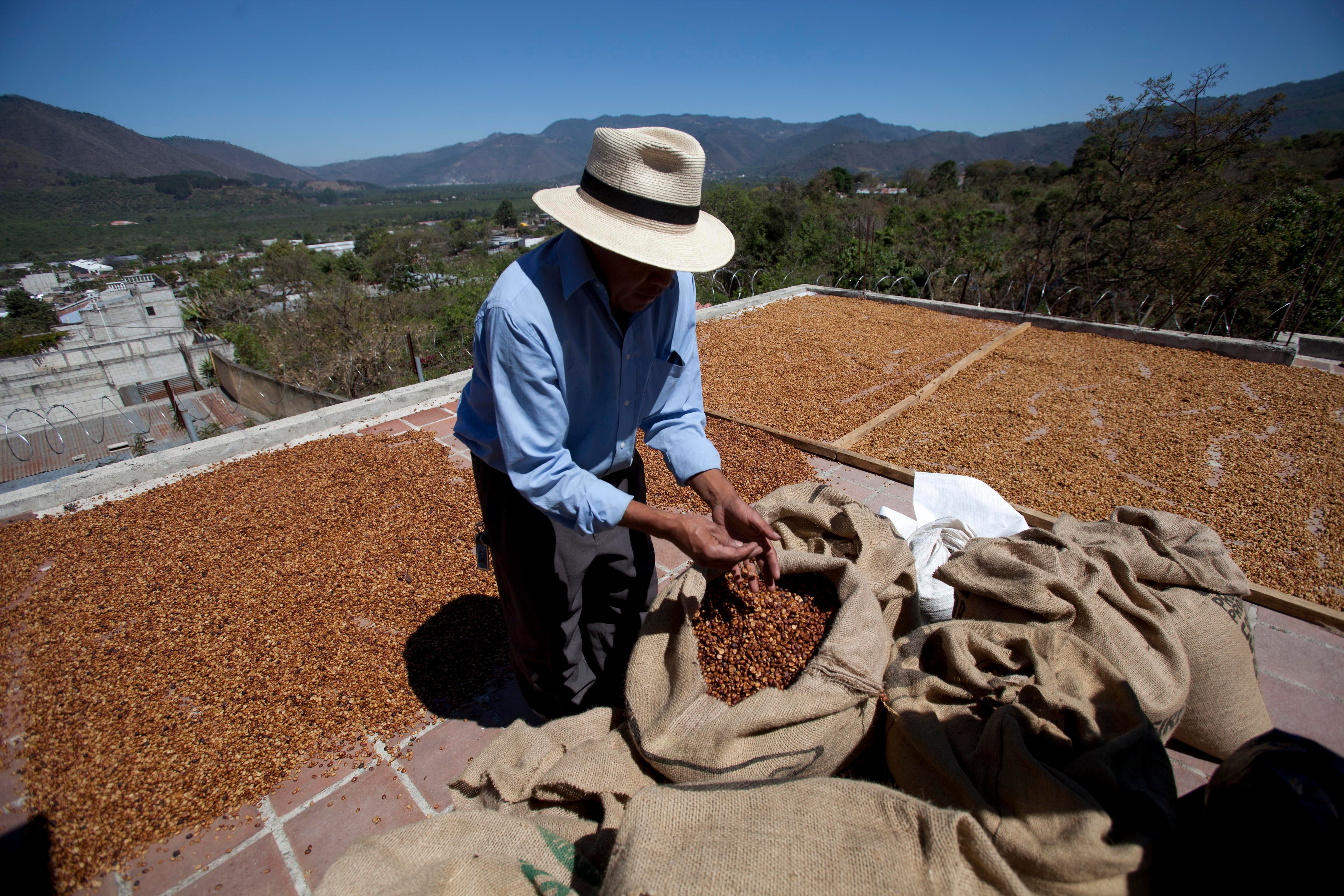 "The migration problem is a coffee problem" - WHYY