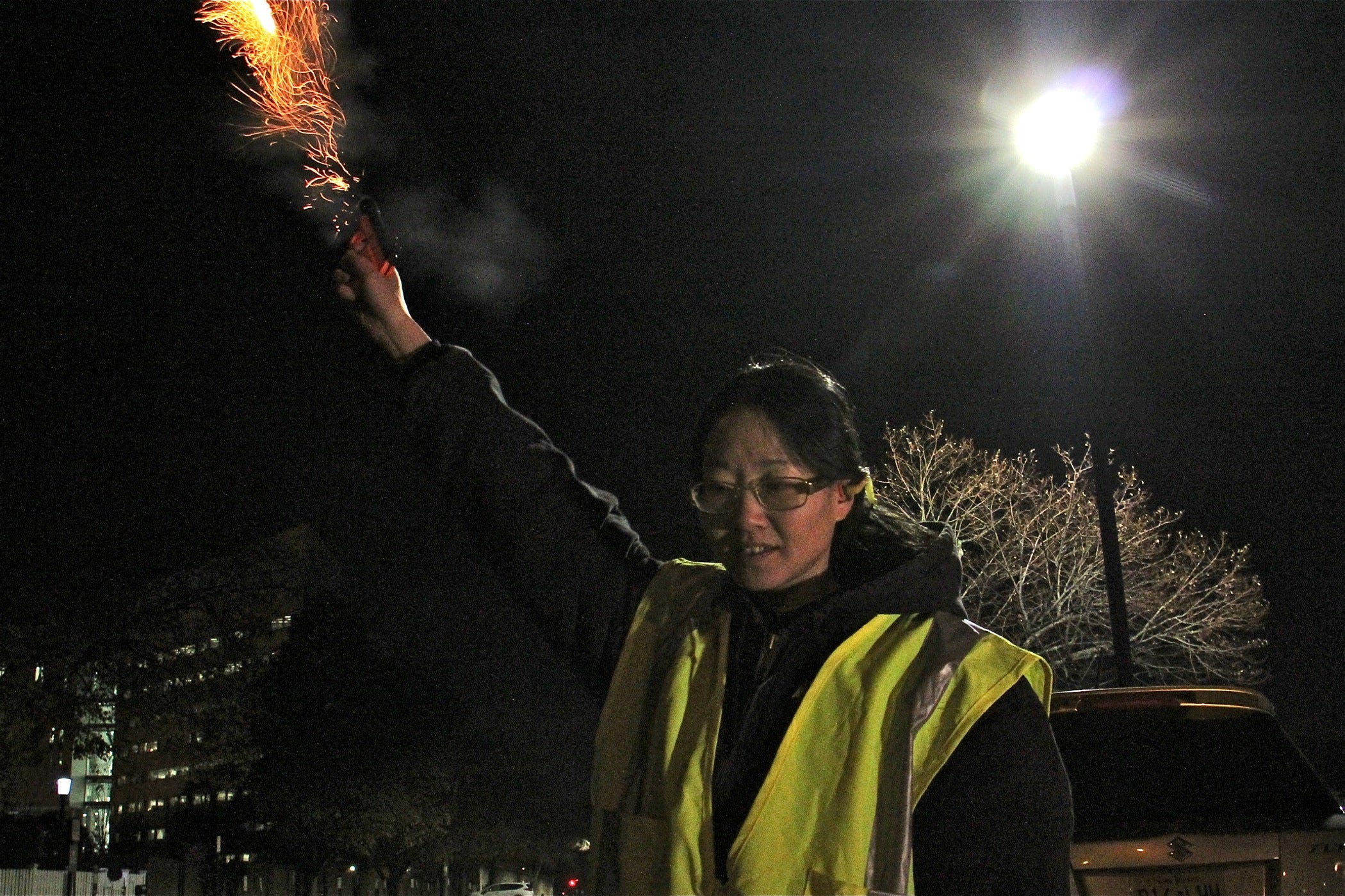 Trenton fights crow invasion with pyrotechnics, lasers - WHYY