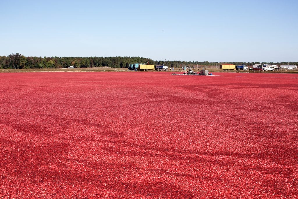 How farmers in New Jersey's Pinelands grapple with the environmental ...