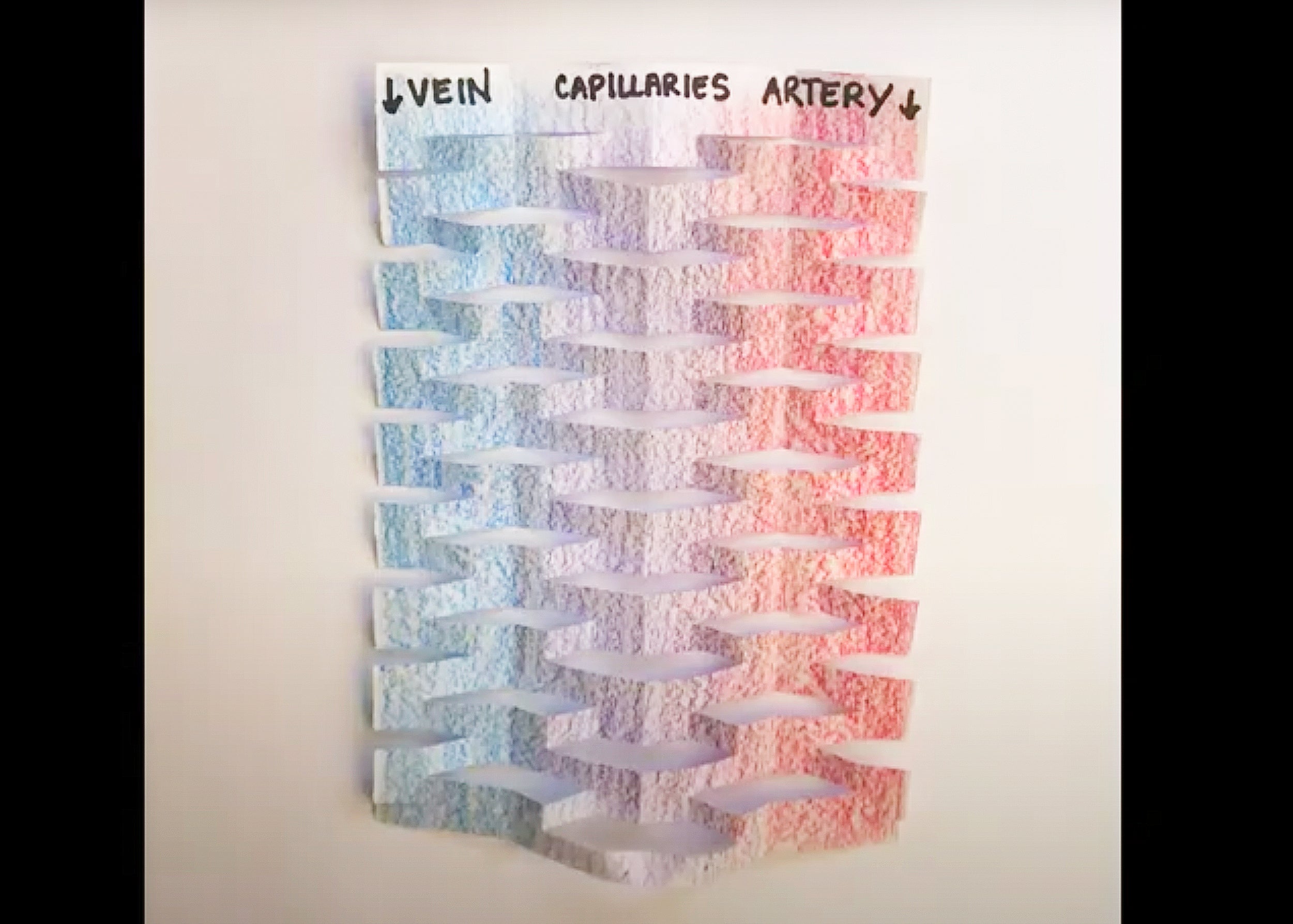 Crafting Paper Capillaries with Ms. Kearney - WHYY