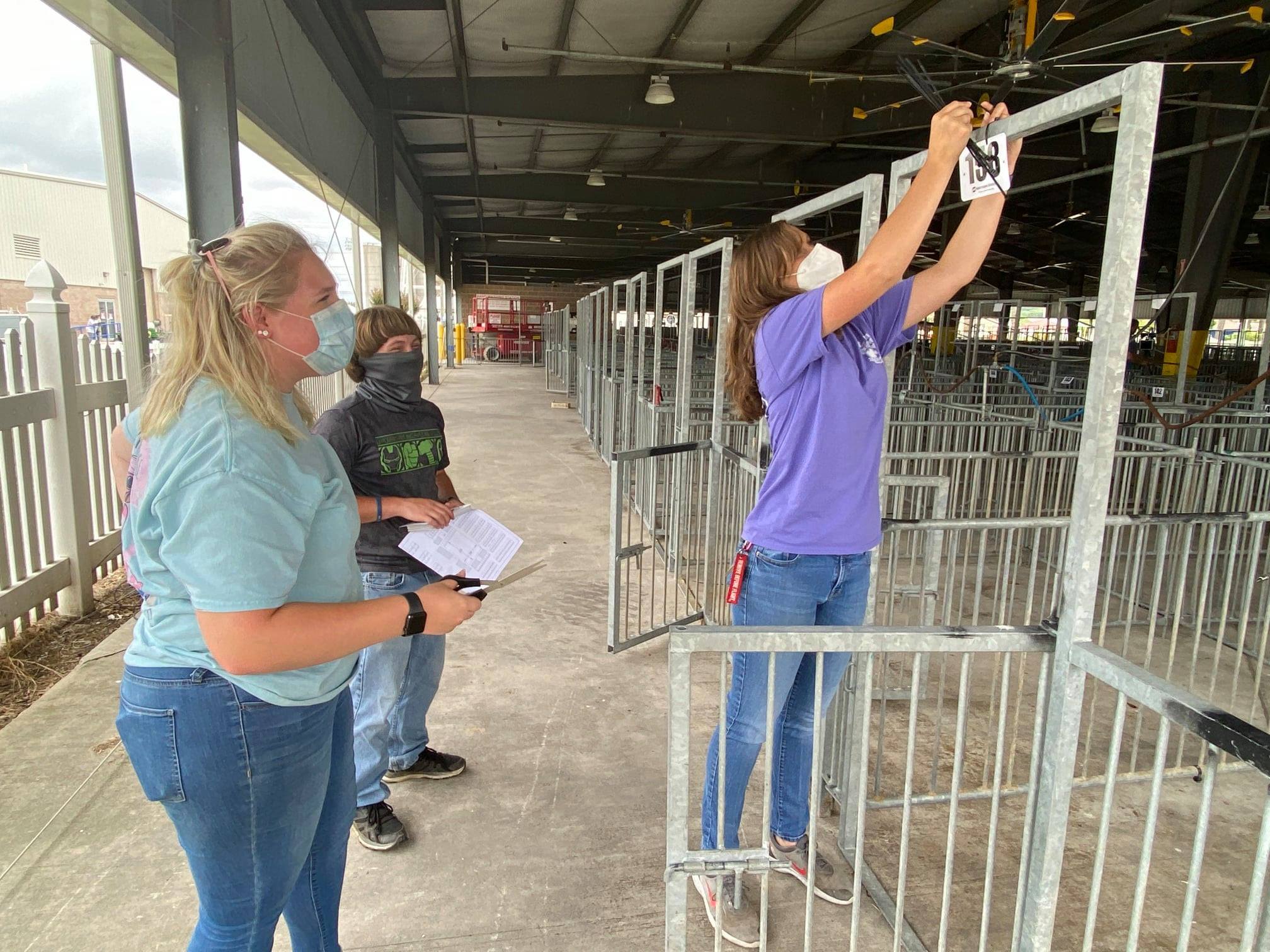 Delaware State Fair opens in ‘uncharted waters’ - WHYY