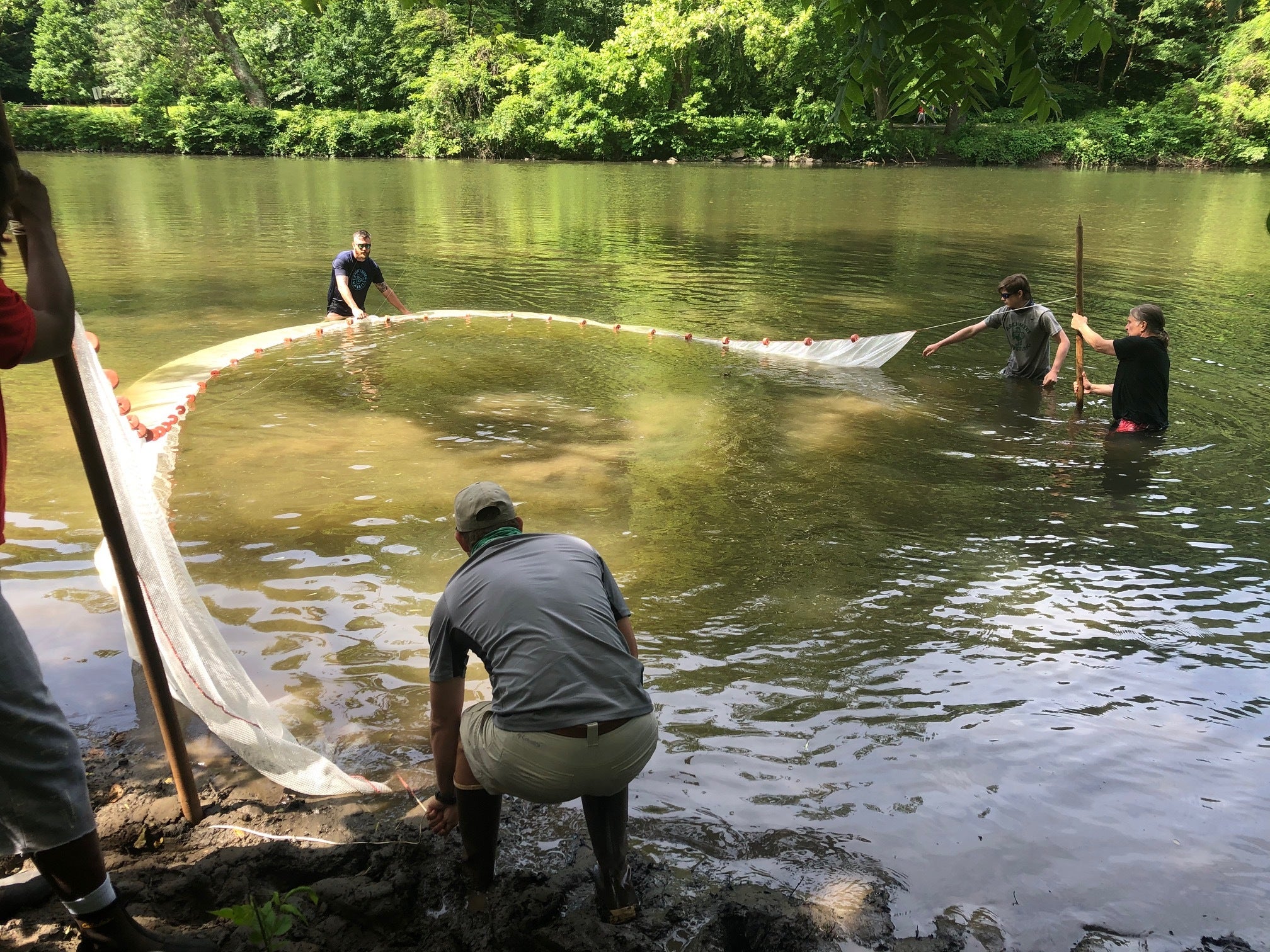 Delaware dam demolition restores American shad migration - WHYY