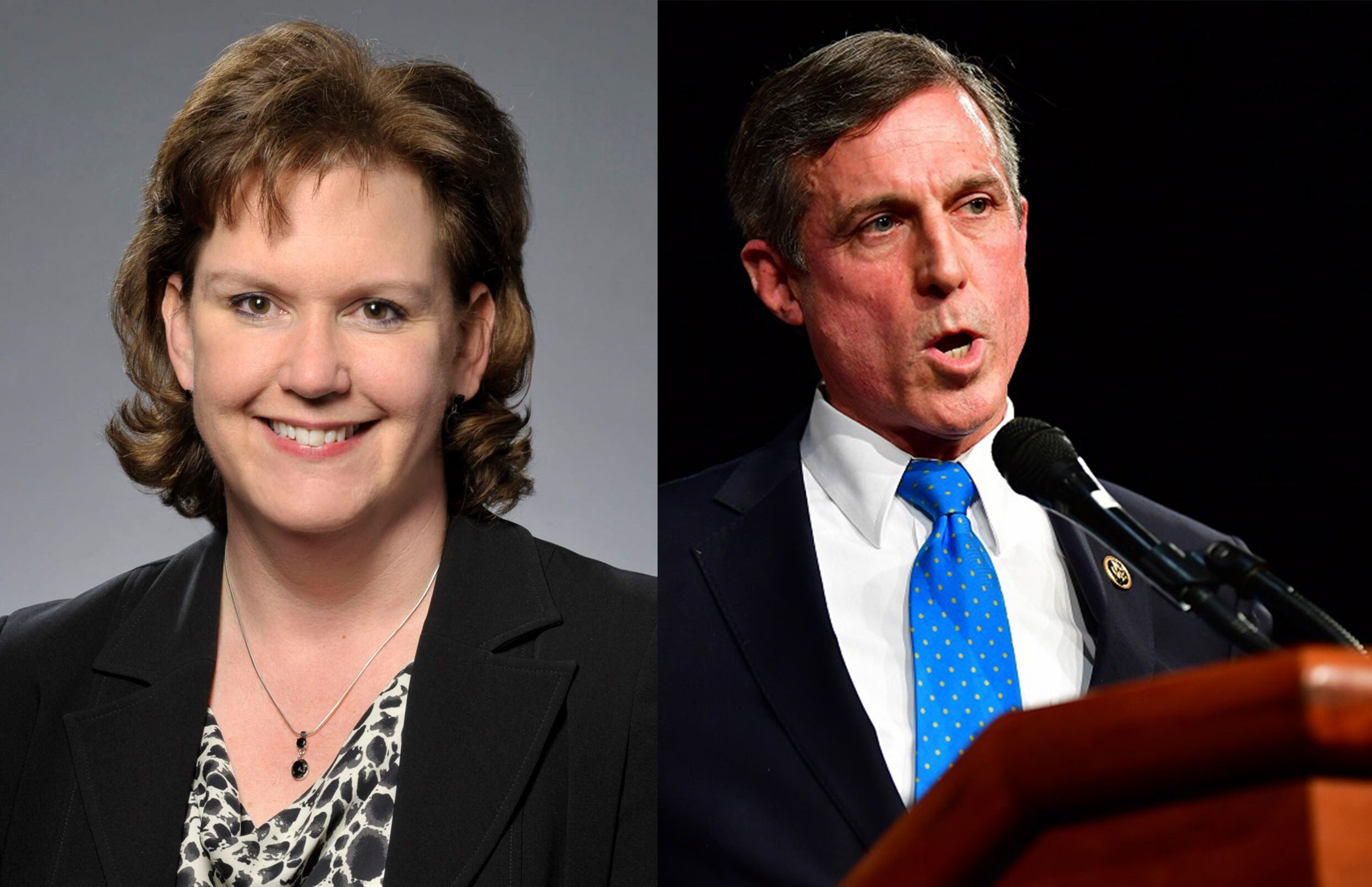 Governor, U.S. Senate, House races top Delaware ticket - WHYY