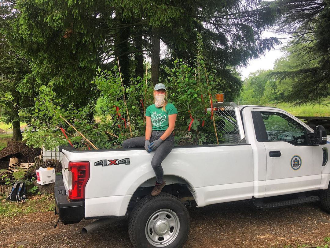 Philly offering over 1,000 free trees to city residents - WHYY