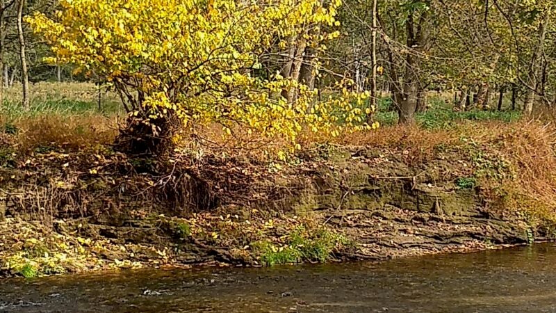 What causes erosion along Del. Watershed creeks, streams? - WHYY