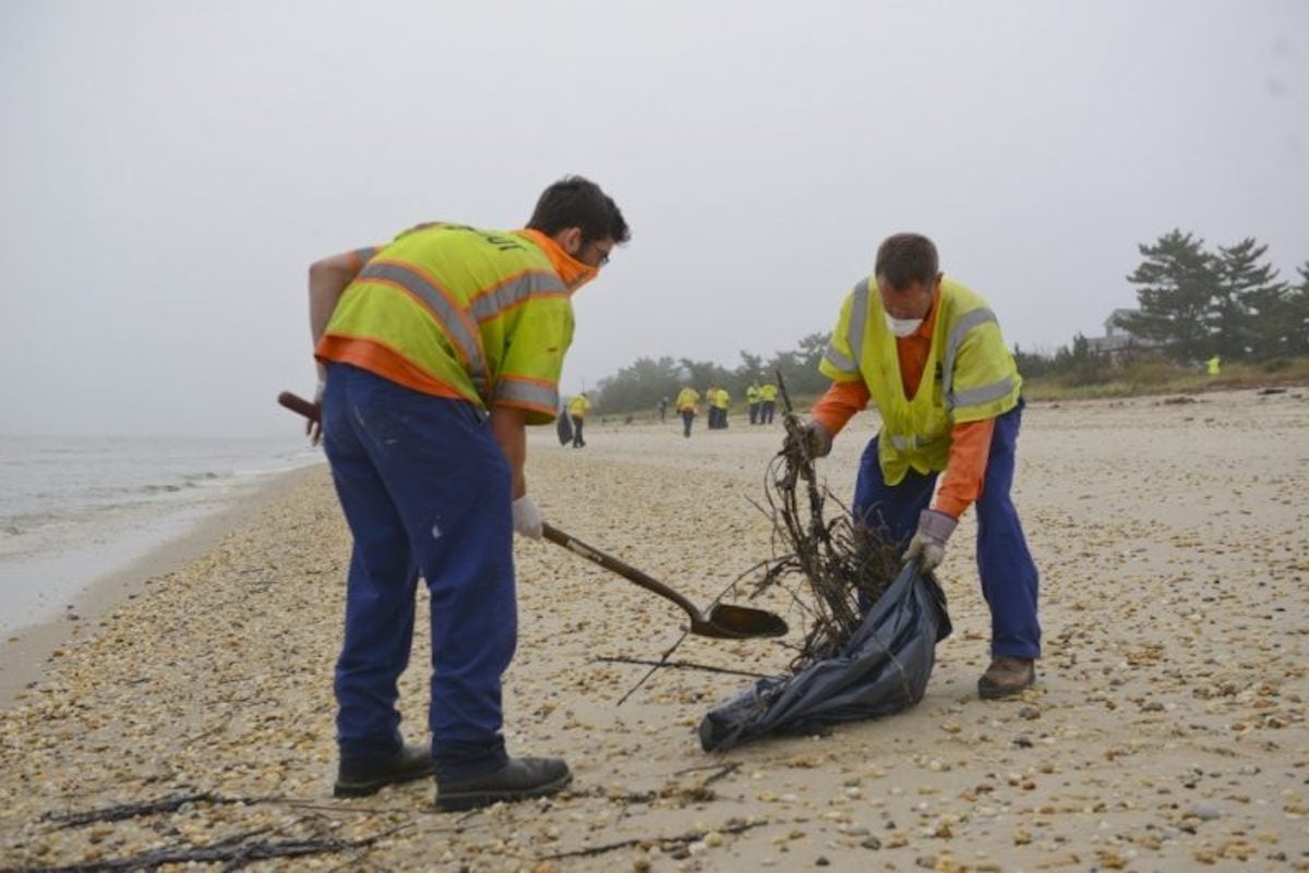55 tons of oily debris collected from Delaware beaches - WHYY