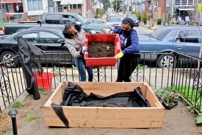 Philadelphia releases first urban agriculture plan - WHYY