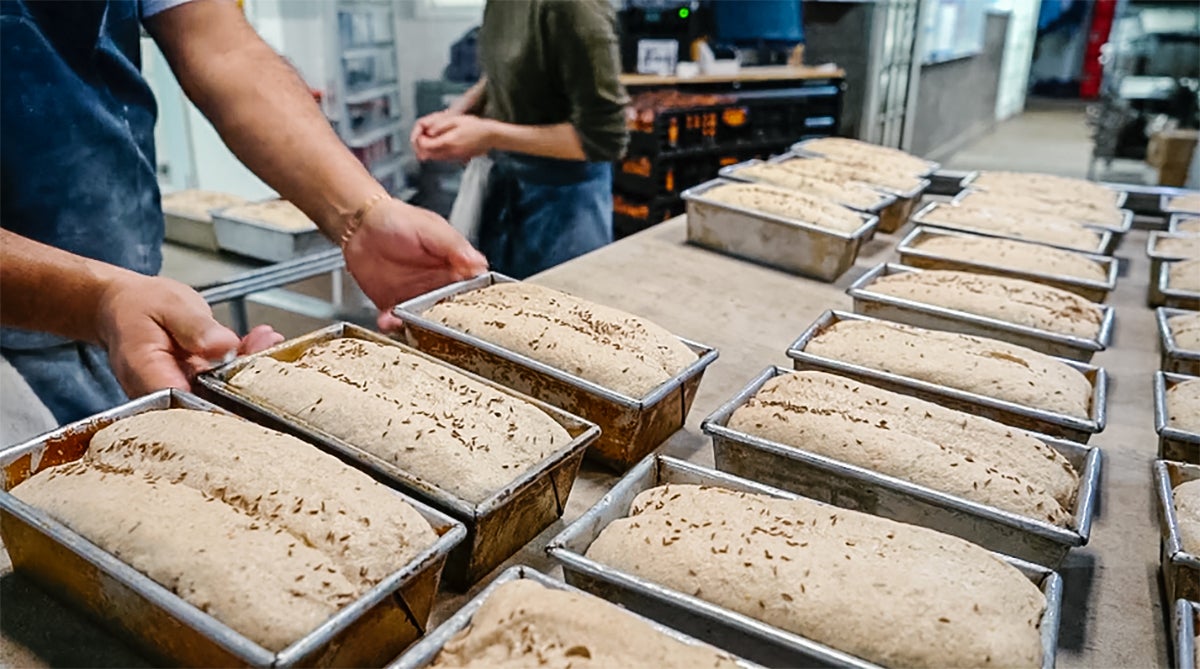 The Grain Chain - WHYY