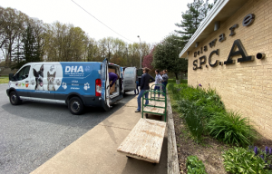 Delaware Humane Association, Delaware SPCA to merge - WHYY