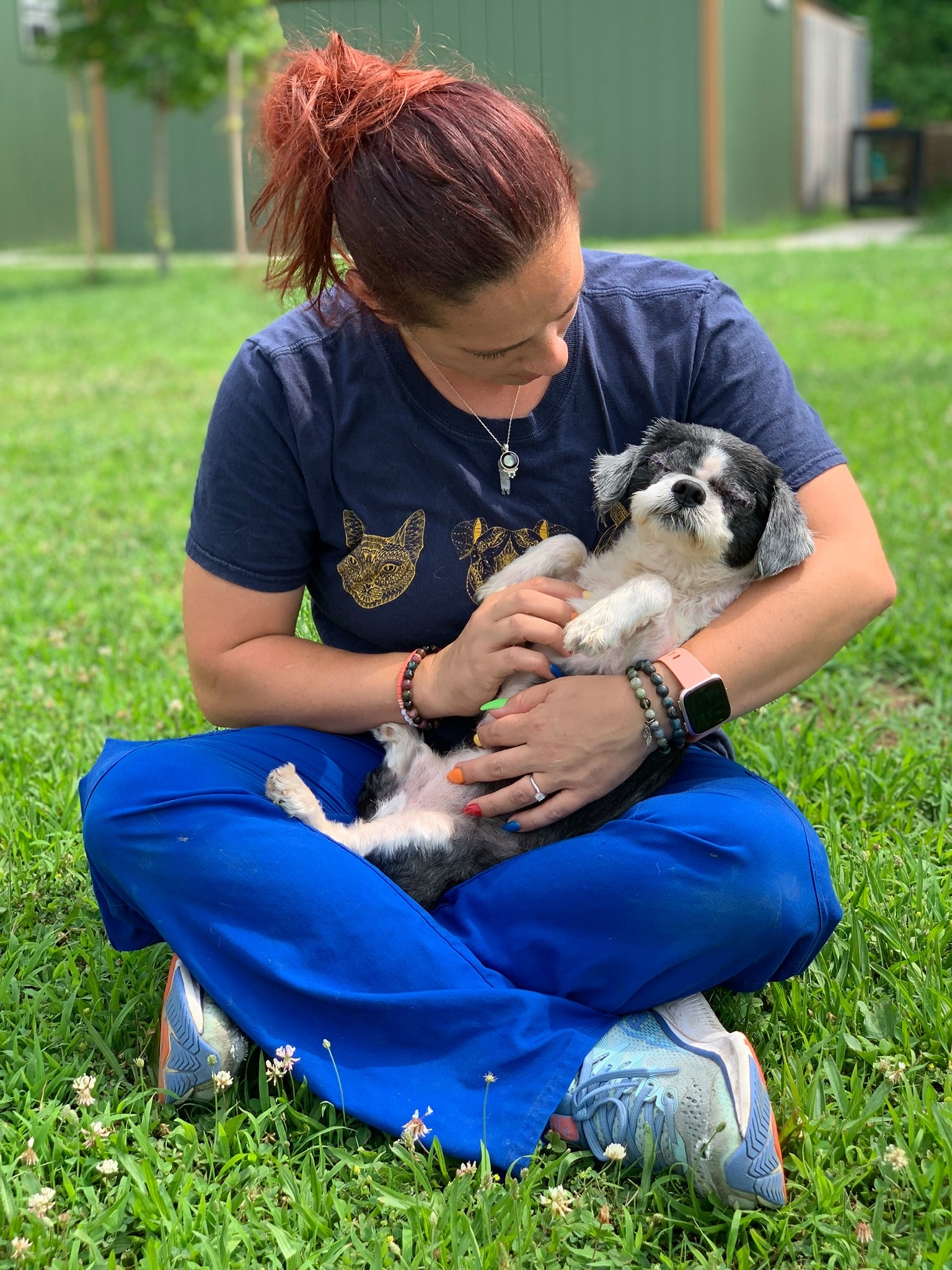 ‘Foster a Philly Pet’: PSPCA, ACCT, PAWS plead for help - WHYY