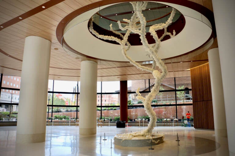 UPenn’s new hospital building uses artwork to heal - WHYY