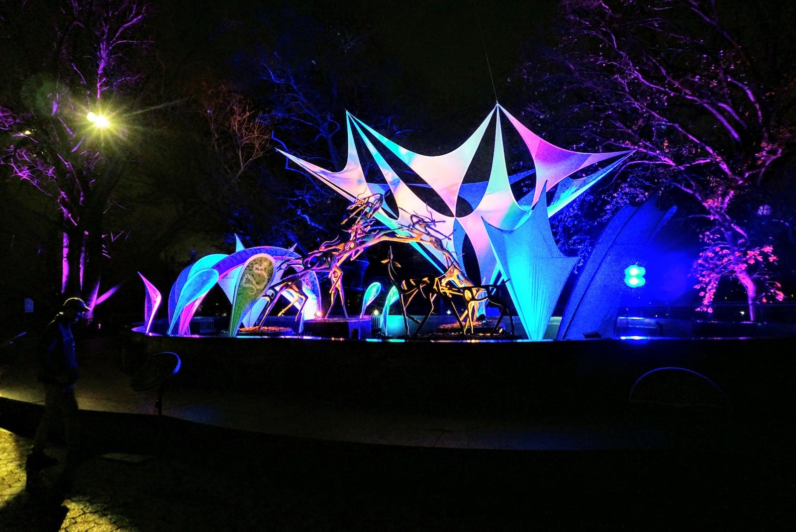 LumiNature light show to return to Philadelphia Zoo after pandemic ...
