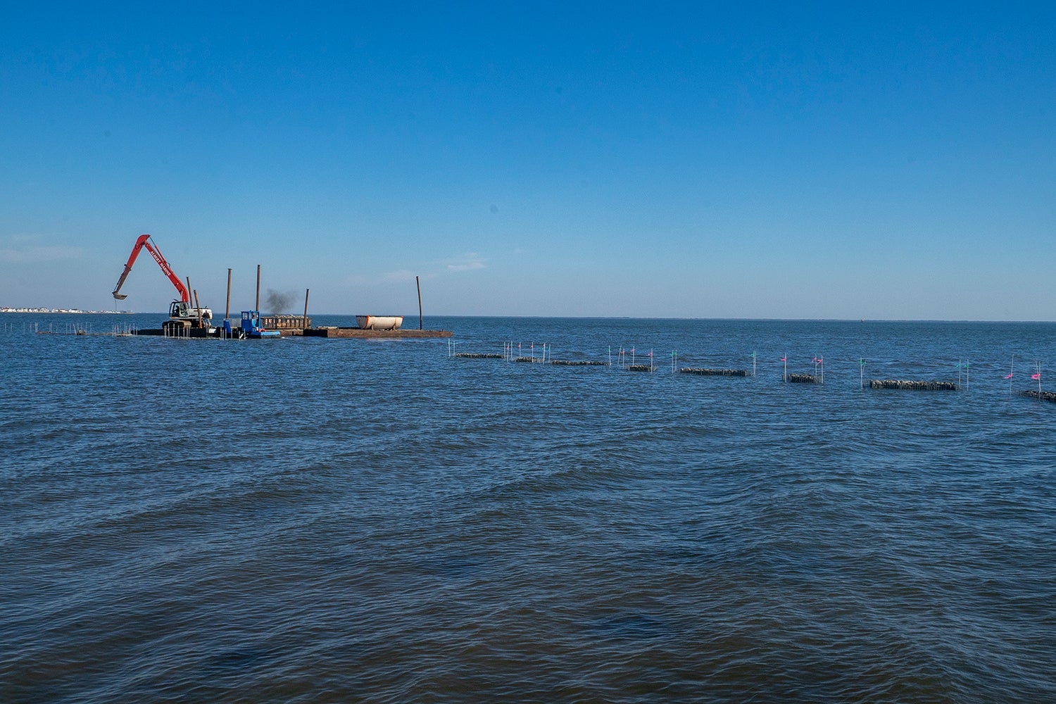 Living shoreline project to save Barnegat Bay beachfront - WHYY