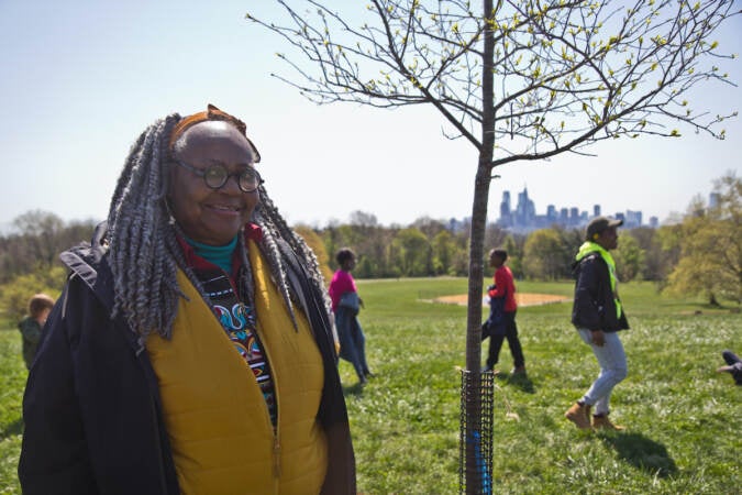Beloved Philly tree replaced with three new ones - WHYY