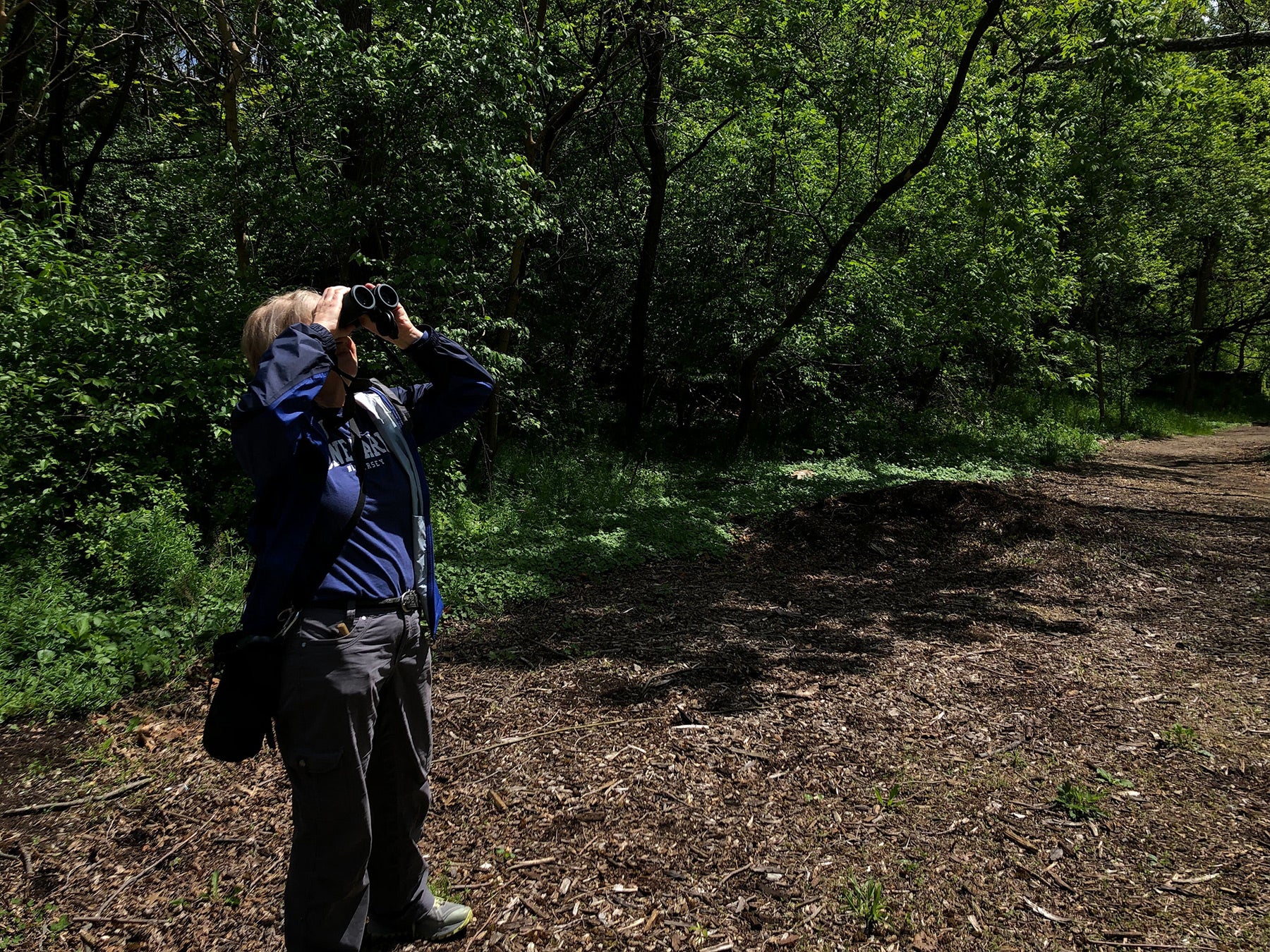 Recording Philly’s nature to document climate change - WHYY
