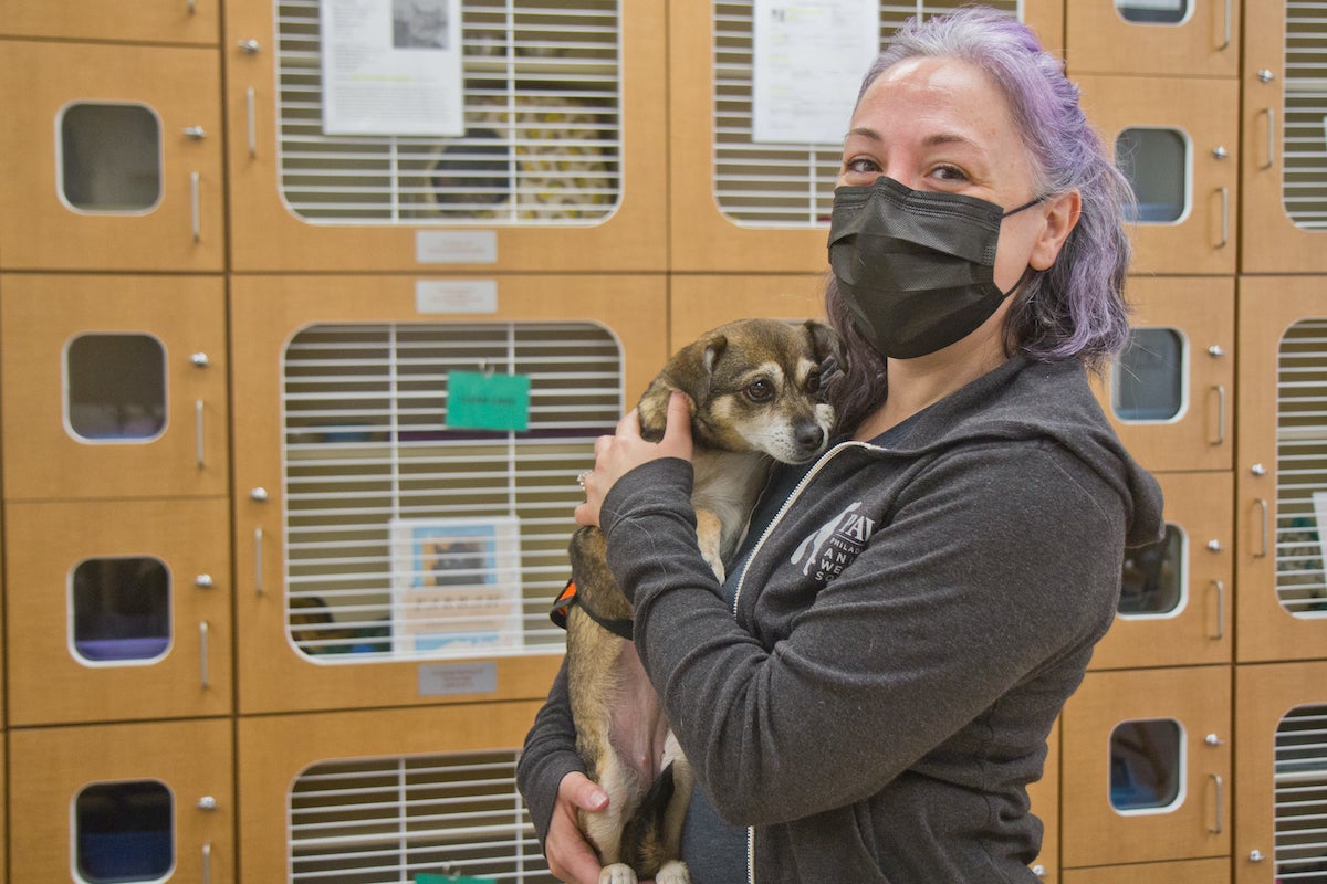 Philly animal shelters seek fosters, adopters, volunteers - WHYY