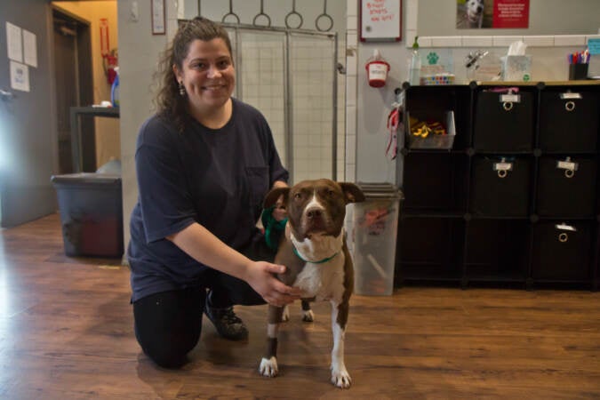 Philly animal shelters seek fosters, adopters, volunteers - WHYY