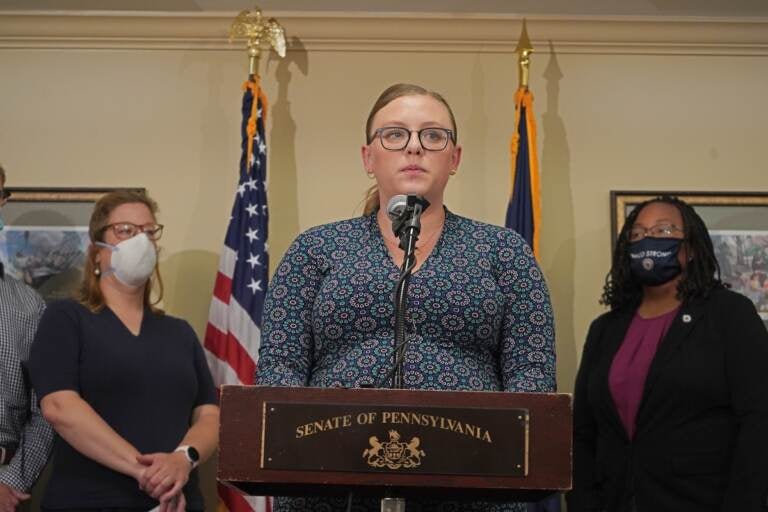 Delco Democrats unveil bills to protect Pennsylvania from for-profit ...