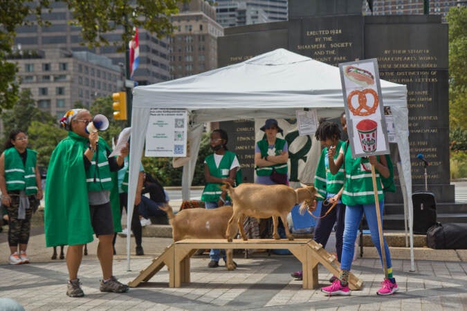 The traveling Philly Goat Project brings joy to all ages - WHYY