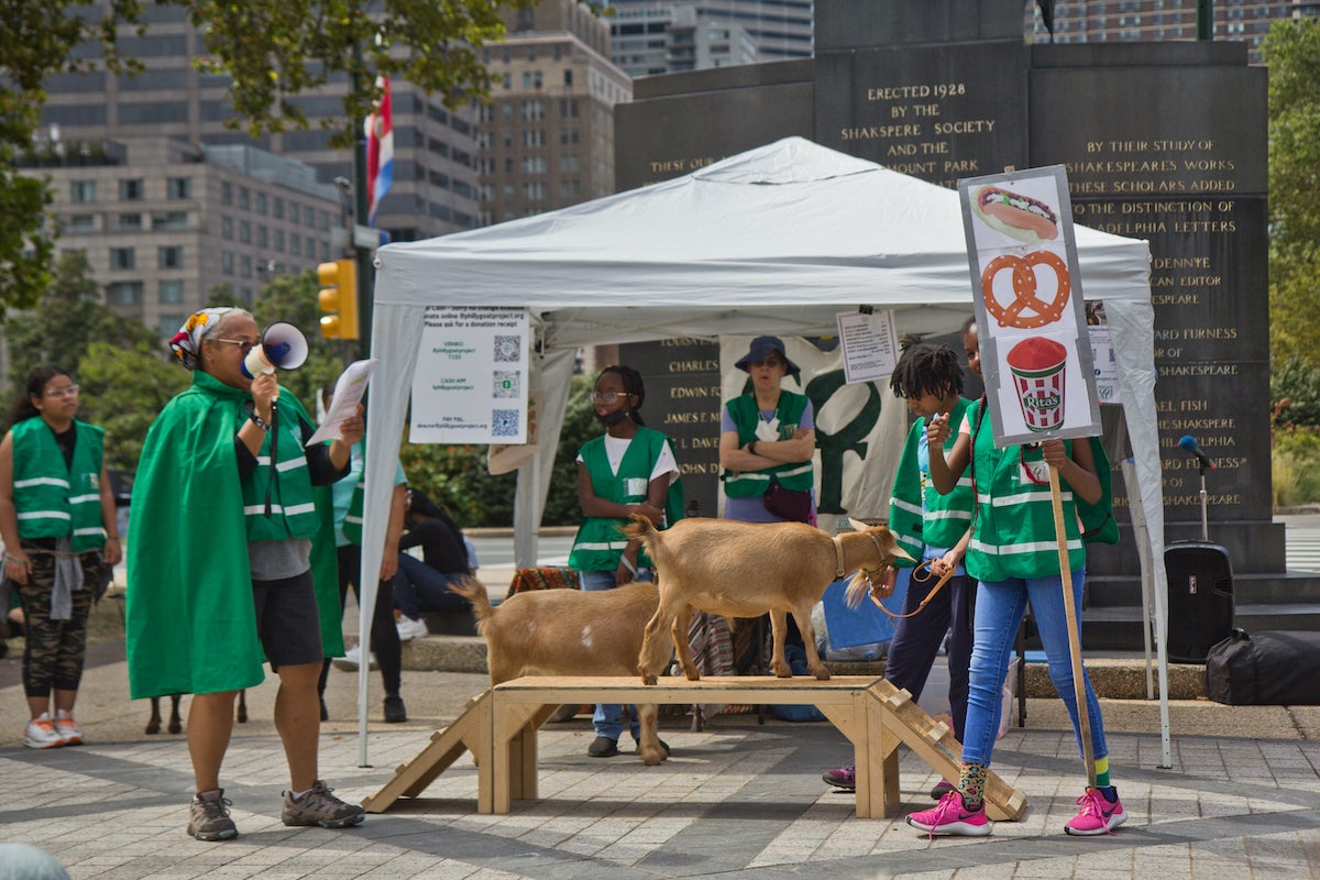 The traveling Philly Goat Project brings joy to all ages - WHYY