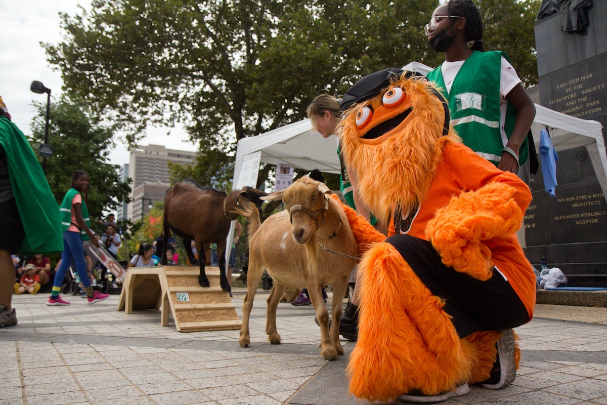 The traveling Philly Goat Project brings joy to all ages - WHYY