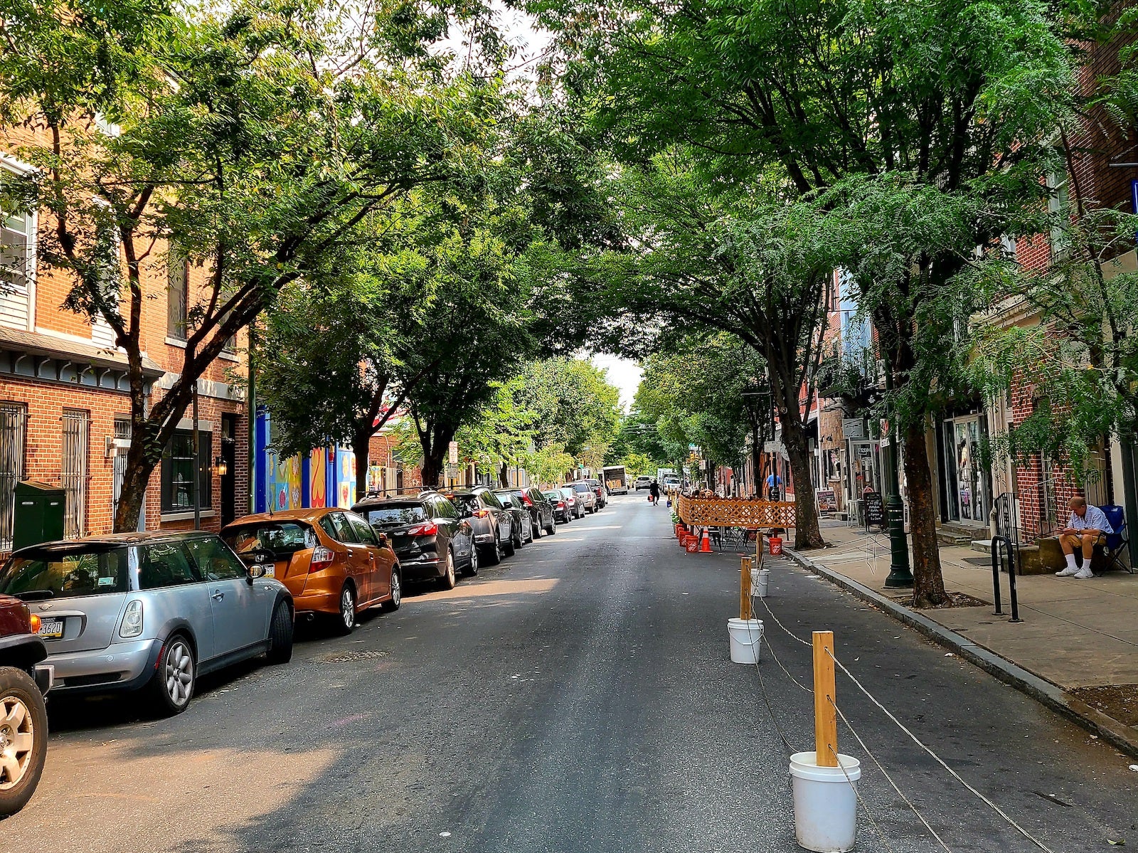 Opinion: Philly’s new tree bill needs some work - WHYY