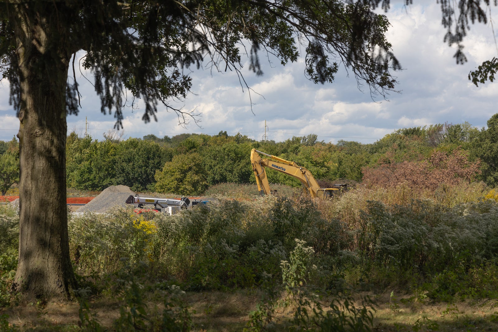 ‘MeadowFest’ celebrates the FDR park meadows - WHYY
