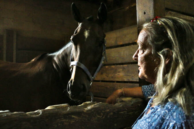 Philly’s urban park polo a rarity for the sport - WHYY