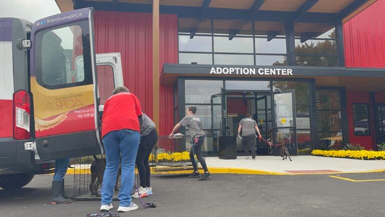 Brandywine Valley SPCA opens ‘largest animal welfare facility’- WHYY