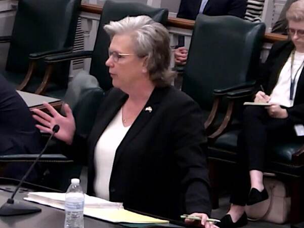 Delaware Supreme Court Hears Mail Voting Case Whyy
