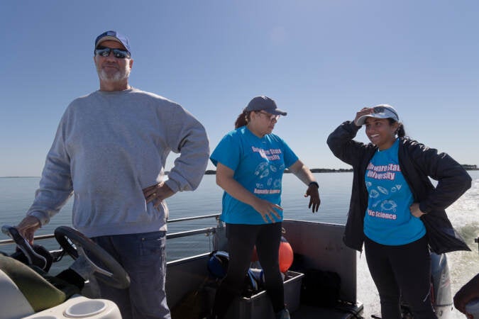 Sustainable aquaculture studied in Delaware Rehoboth Bay - WHYY