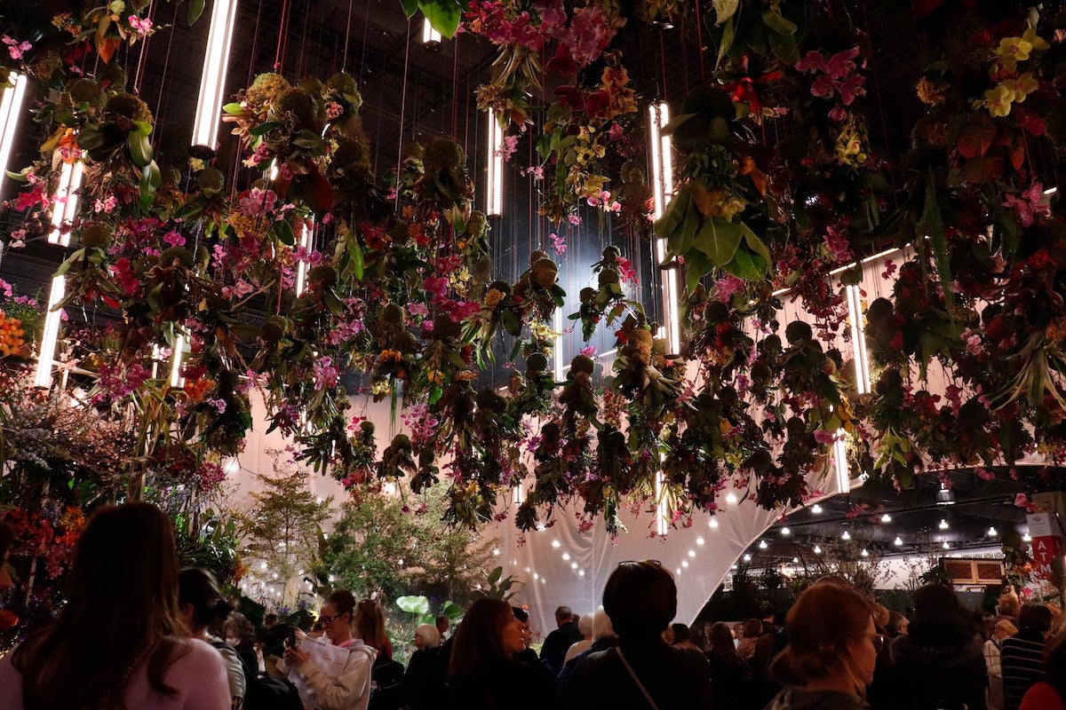 Black Girls Florist makes history at Philly Flower Show - WHYY