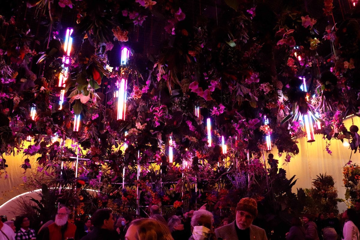 Black Girls Florist makes history at Philly Flower Show - WHYY