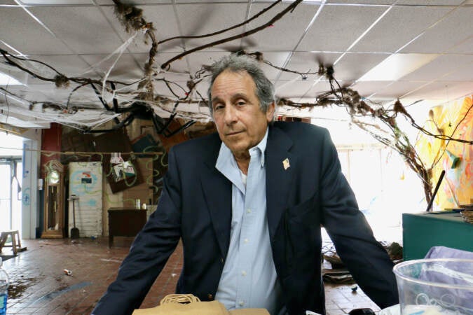 Philadelphia Insectarium evicted, building in shambles - WHYY
