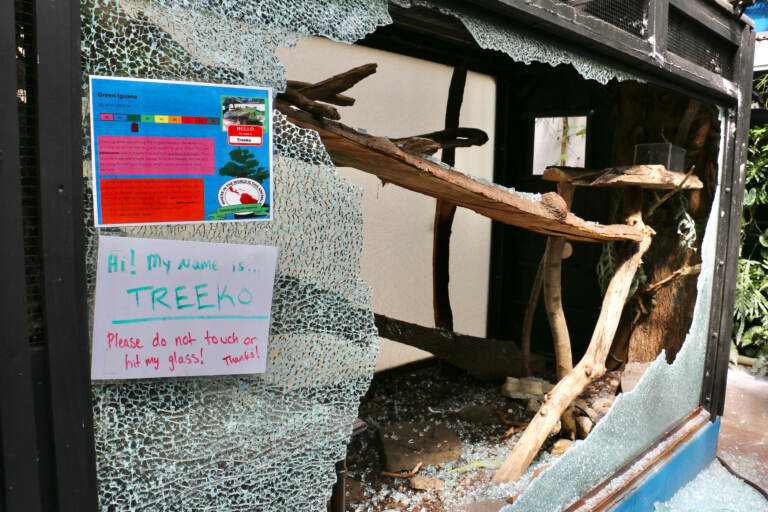 What it was like to work at the Philadelphia Insectarium - WHYY